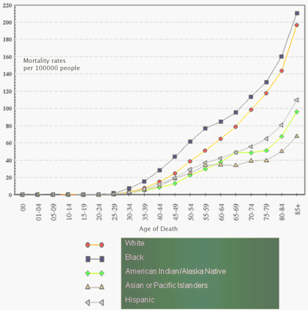Breast Cancer Mortality by Race: Incidence and Survival Rates